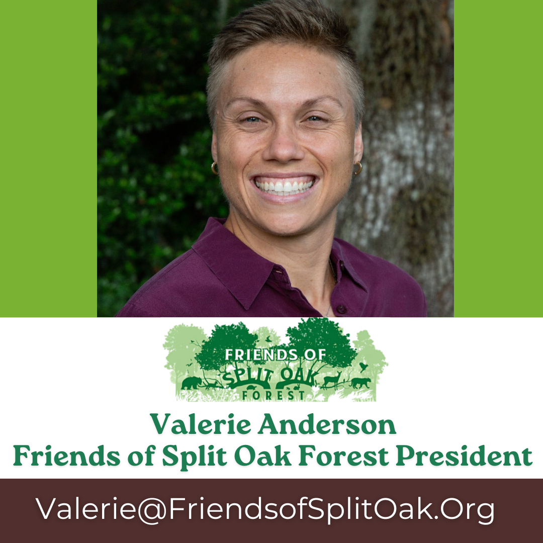 History – Save Split Oak