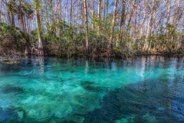 Save Split Oak – Conservation Area Threatened by Toll Road Development