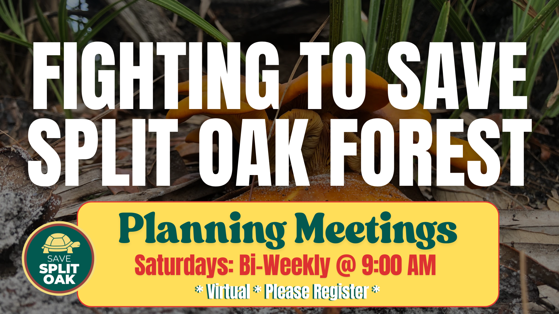 Events – Save Split Oak
